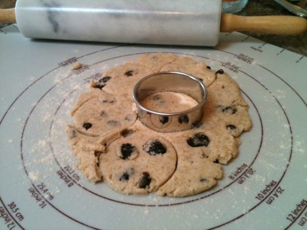 Mom's Raisin Griddle Cookies (Gluten Free) • The Fit Cookie