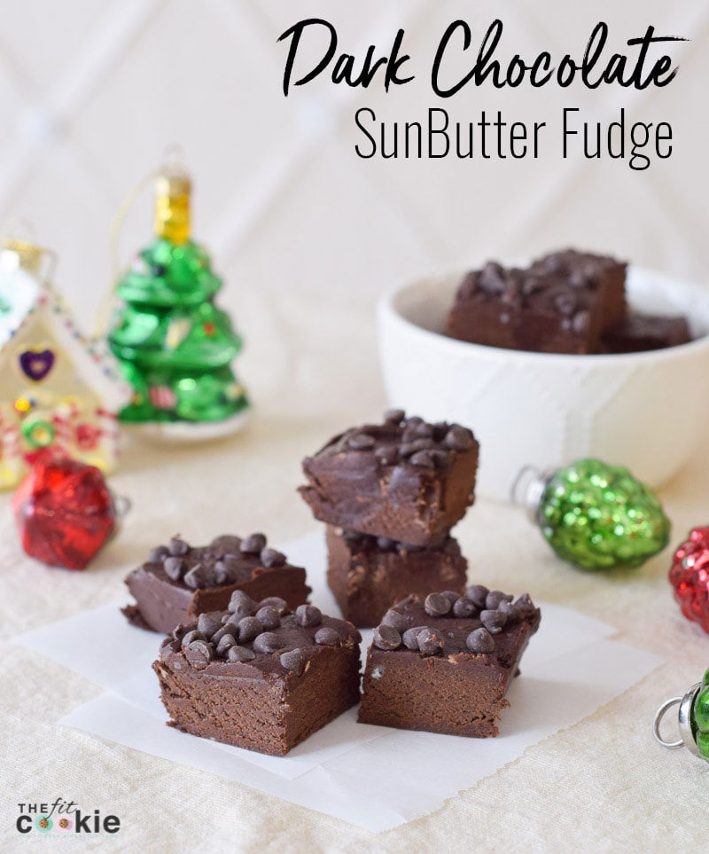 Easy Dairy Free Dark Chocolate Fudge (Paleo) • The Fit Cookie
