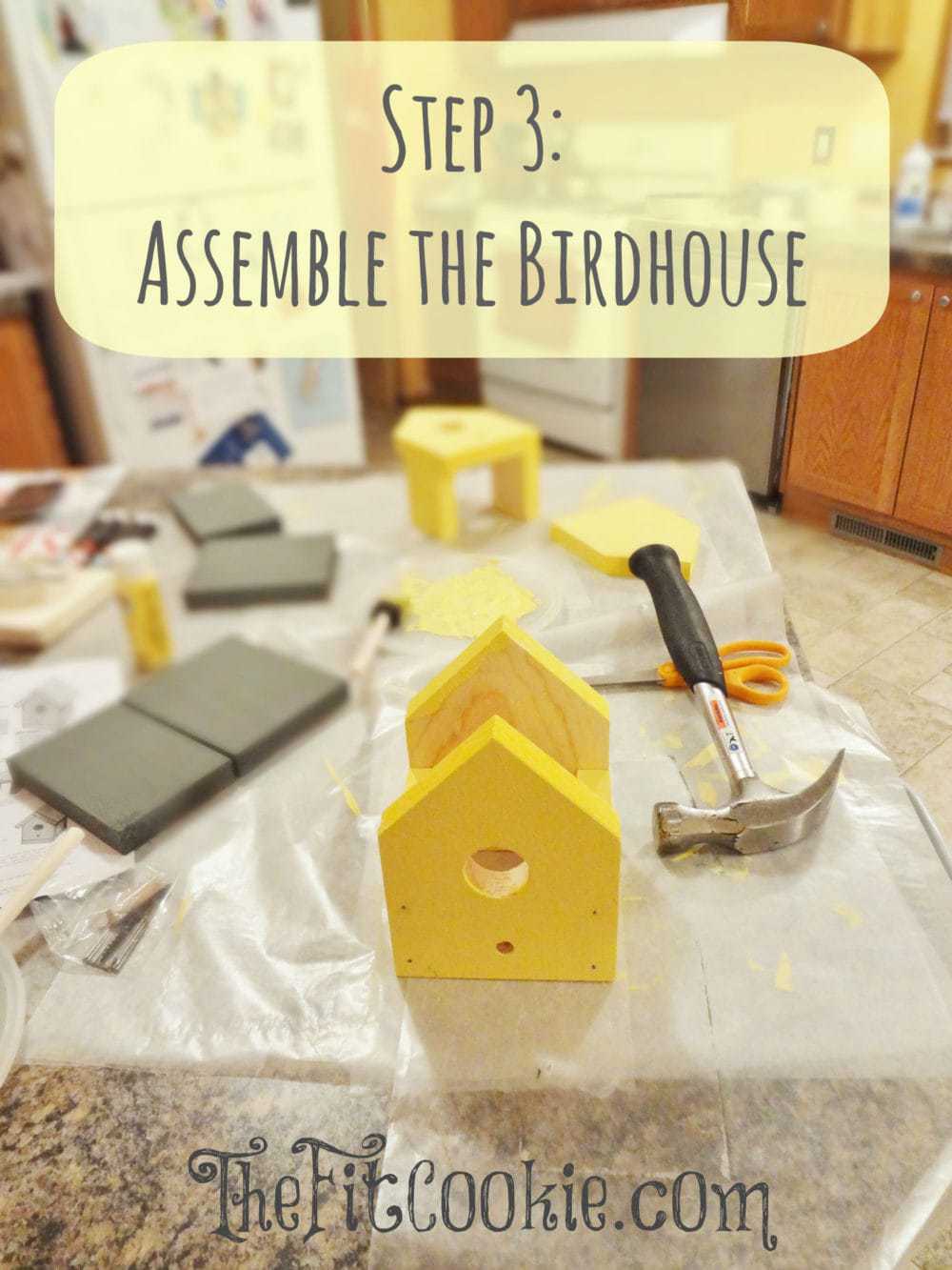 Easy DIY Birdhouse Kit Project • The Fit Cookie