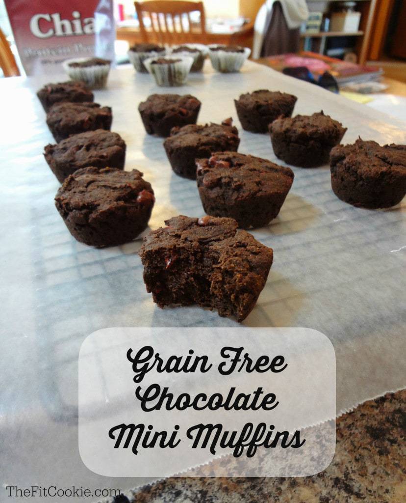 Grain Free Chocolate Mini Muffins • The Fit Cookie