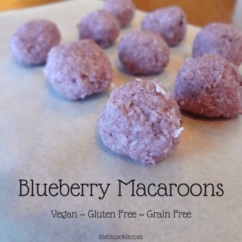 Blueberry Macaroons (Grain Free and Vegan) • The Fit Cookie