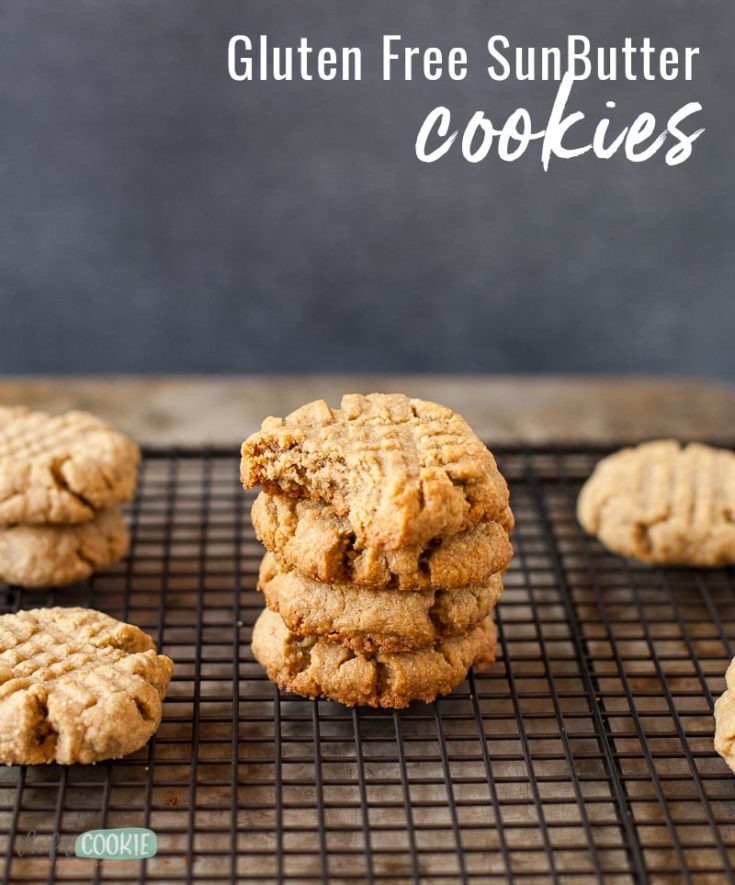 Gluten Free SunButter Cookies (Vegan) • The Fit Cookie