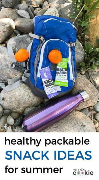 Healthy Packable Snack Ideas for Summer • The Fit Cookie