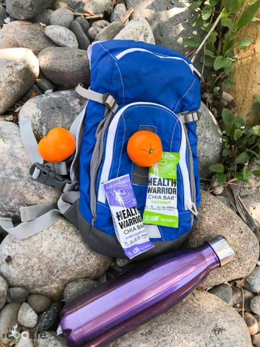 Healthy Packable Snack Ideas for Summer • The Fit Cookie