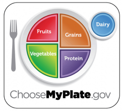 How to Pack Healthy Lunches for School • The Fit Cookie