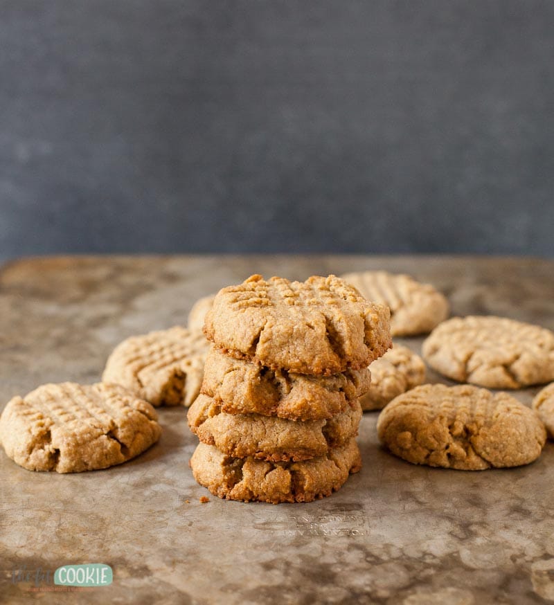 Gluten Free SunButter Cookies (Vegan) • The Fit Cookie