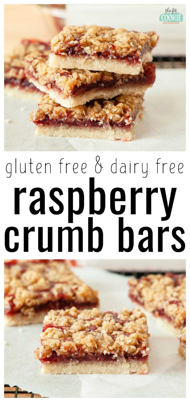 Gluten Free Raspberry Crumb Bars (Dairy Free) • The Fit Cookie