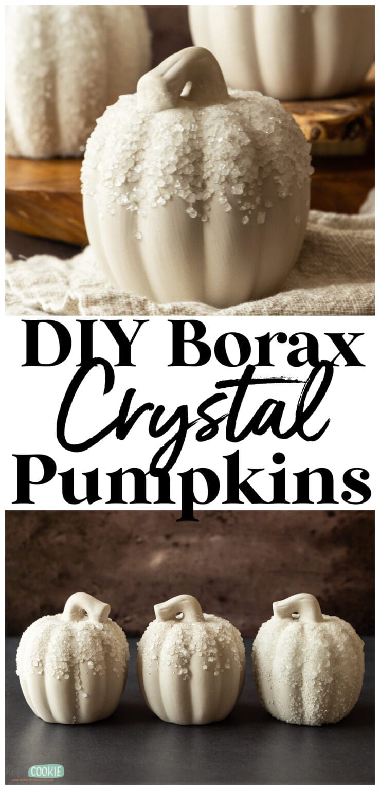 DIY Borax Crystal Pumpkins • The Fit Cookie