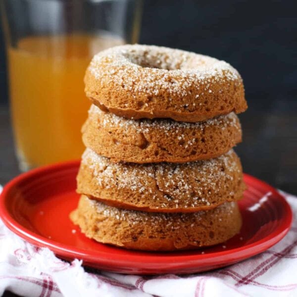 Dairy Free and Gluten Free Donut Recipes • The Fit Cookie