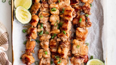 Dairy Free and Gluten Free Grilling Recipes • The Fit Cookie