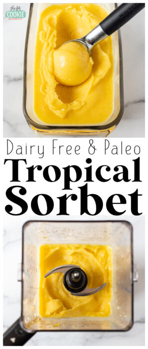 Easy Tropical Mango Sorbet (No Churn) • The Fit Cookie
