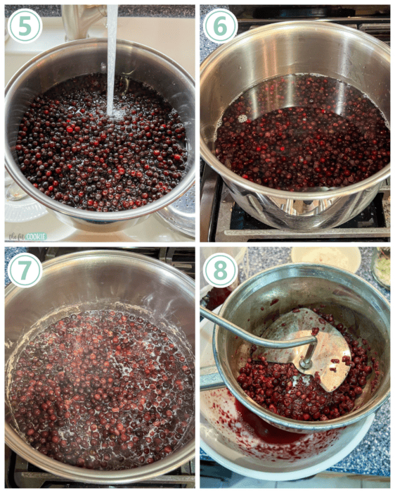 Homemade Chokecherry Syrup • The Fit Cookie