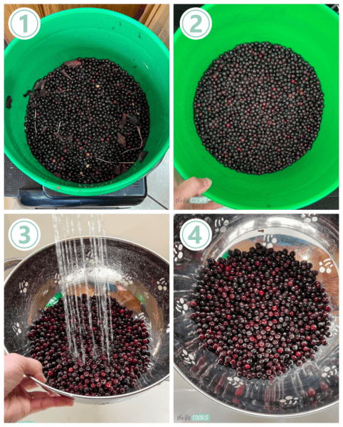 Homemade Chokecherry Syrup • The Fit Cookie