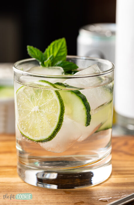 Best Non-Alcoholic Gin and Tonic Recipe • The Fit Cookie