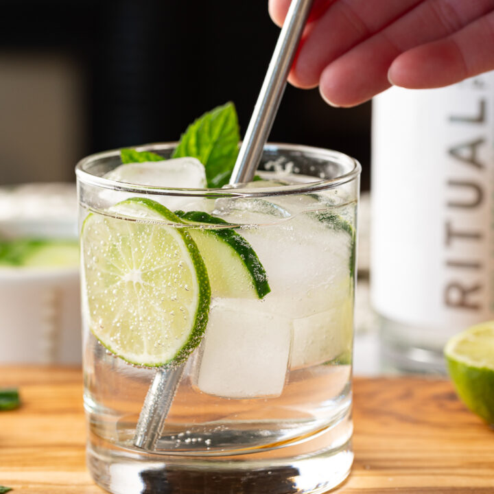 Best Non-Alcoholic Gin and Tonic Recipe • The Fit Cookie