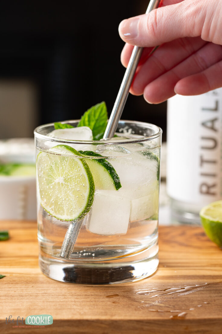 Best Non-Alcoholic Gin and Tonic Recipe • The Fit Cookie