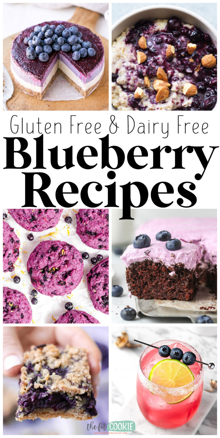Gluten Free Dairy Free Blueberry Recipes • The Fit Cookie