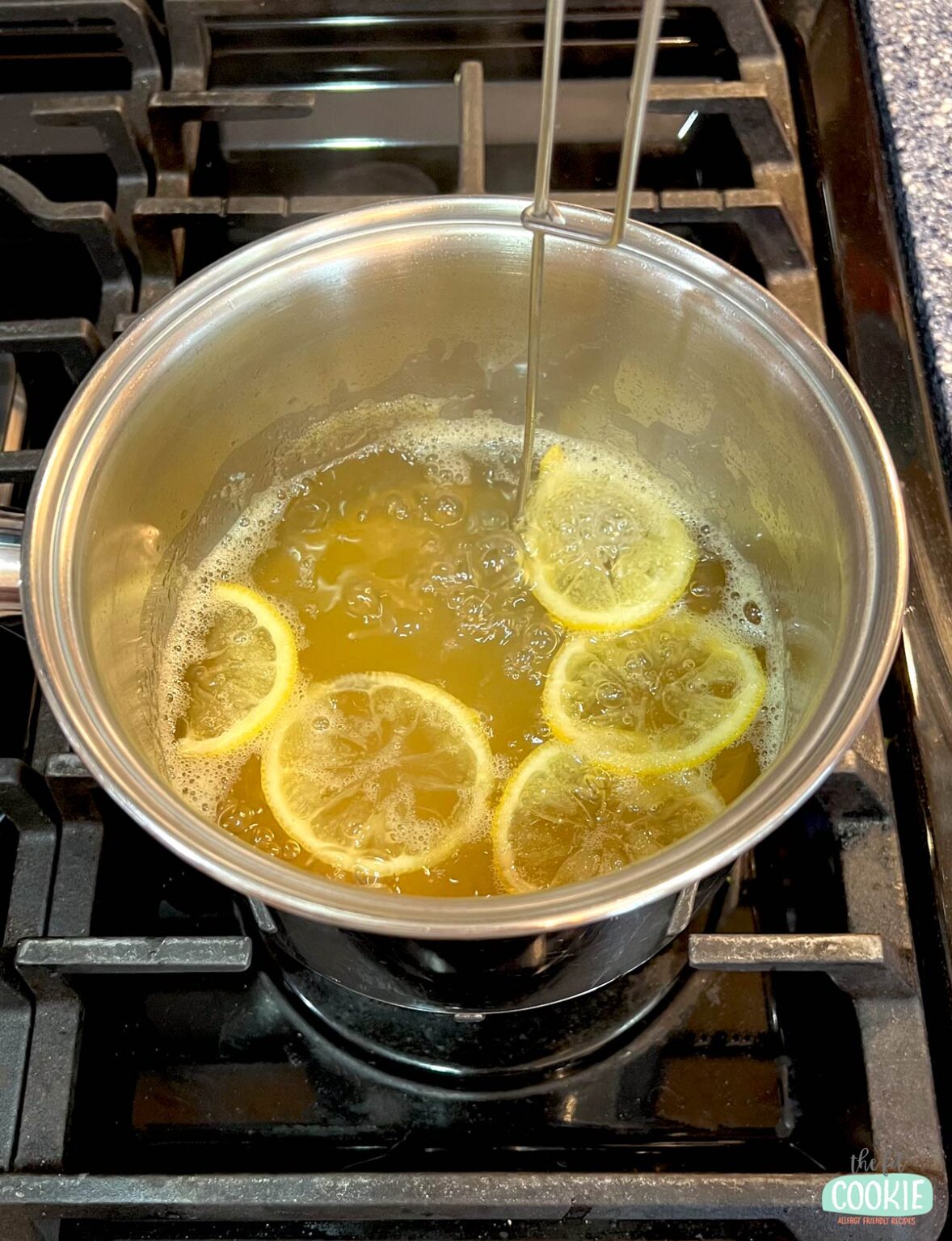 Homemade Chokecherry Lemonade (using Chokecherry Syrup) • The Fit Cookie
