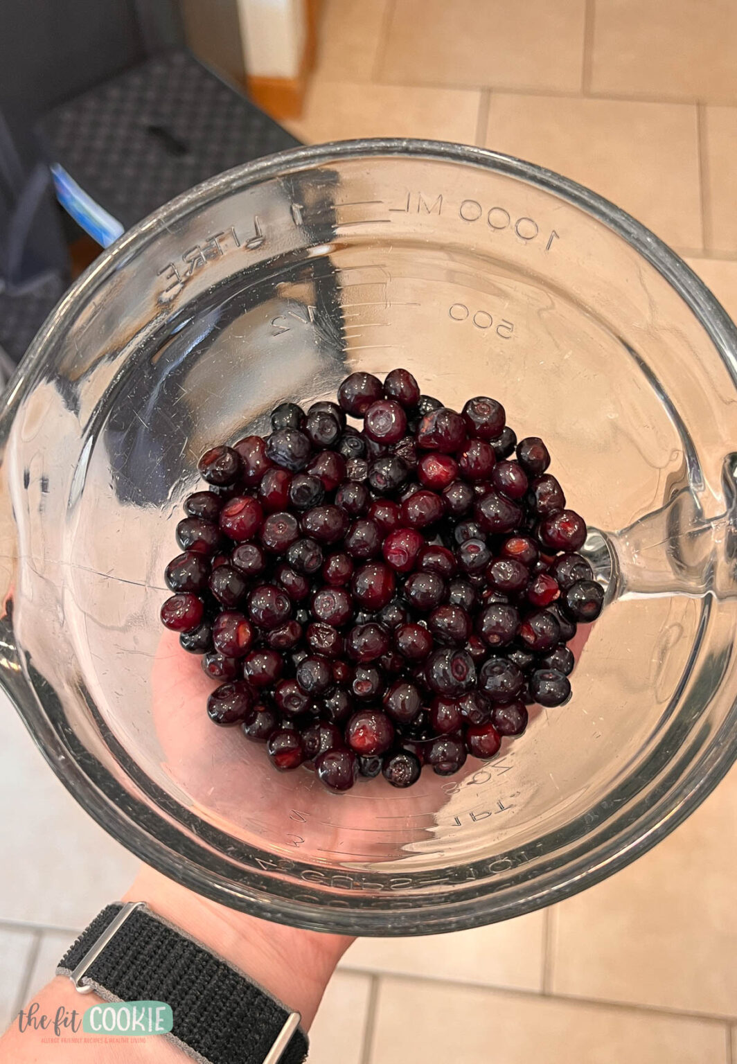 Dairy Free Huckleberry Ice Cream (Egg Free) • The Fit Cookie